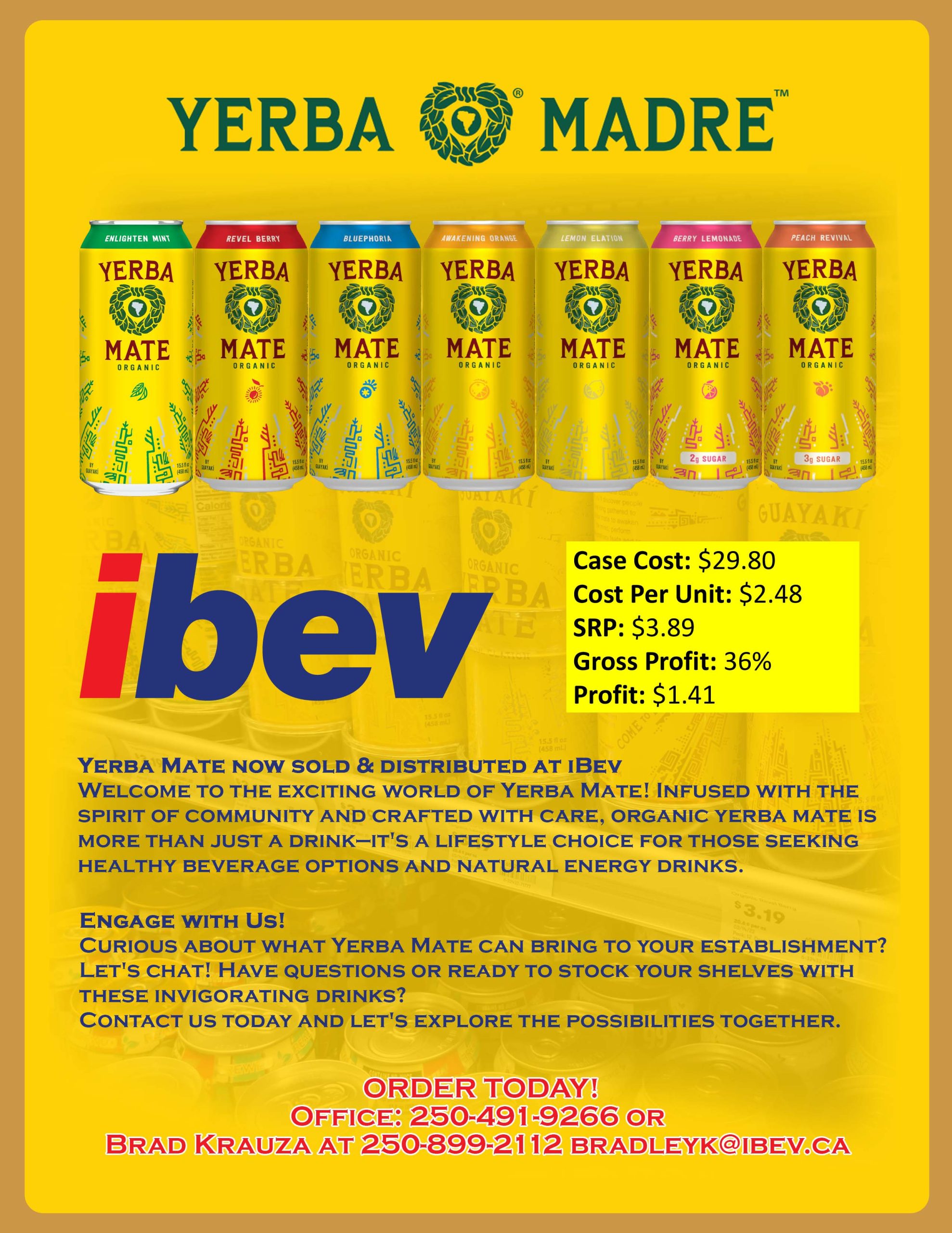 Yerba Mate Organic Ice Tea Energy Beverage - IBEV | Interior Beverages